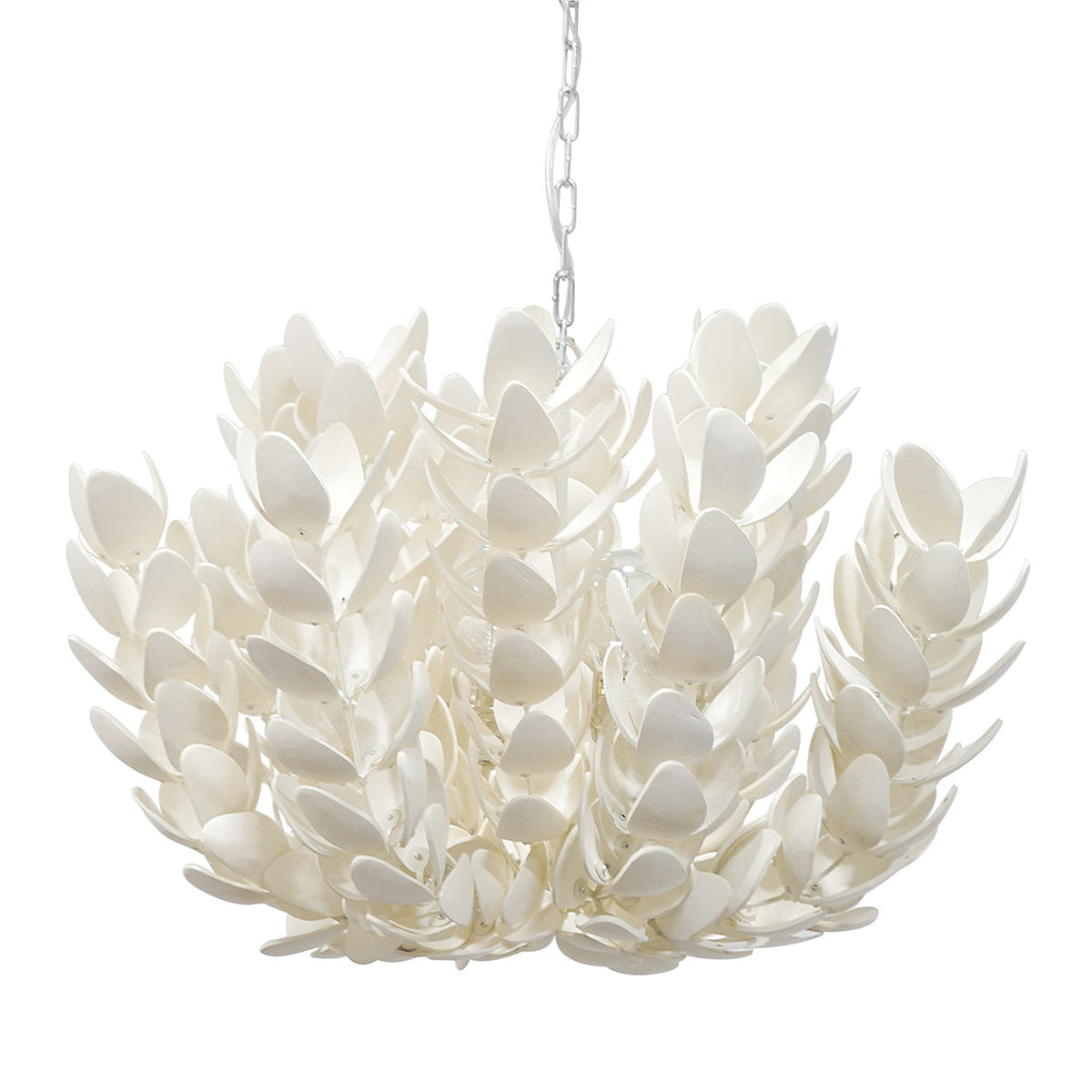Coco Magnolia Chandelier | Light House Co.